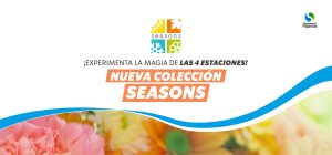 ¡Explora la magia de las cuatro estaciones con nuestra última colección ...